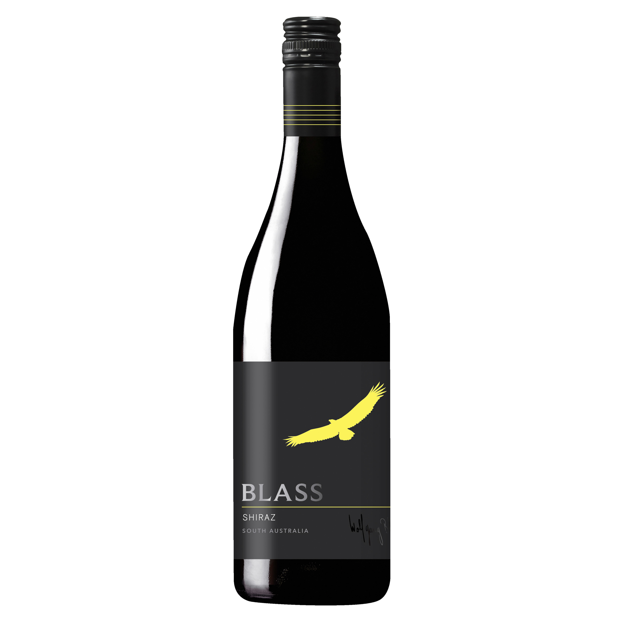 Wolf Blass Blass Shiraz 2017 | Wolf Blass